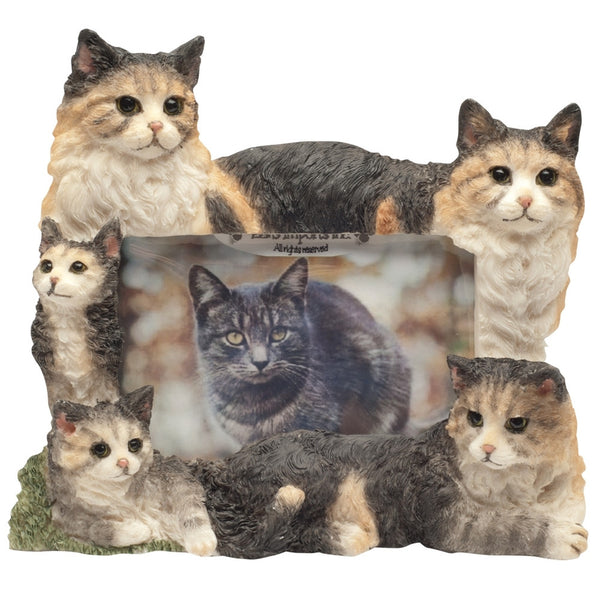 Maine Coon Cat Family Large Picture Frame – AnimalWorld.com